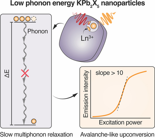 Select Publications | Schuck Lab